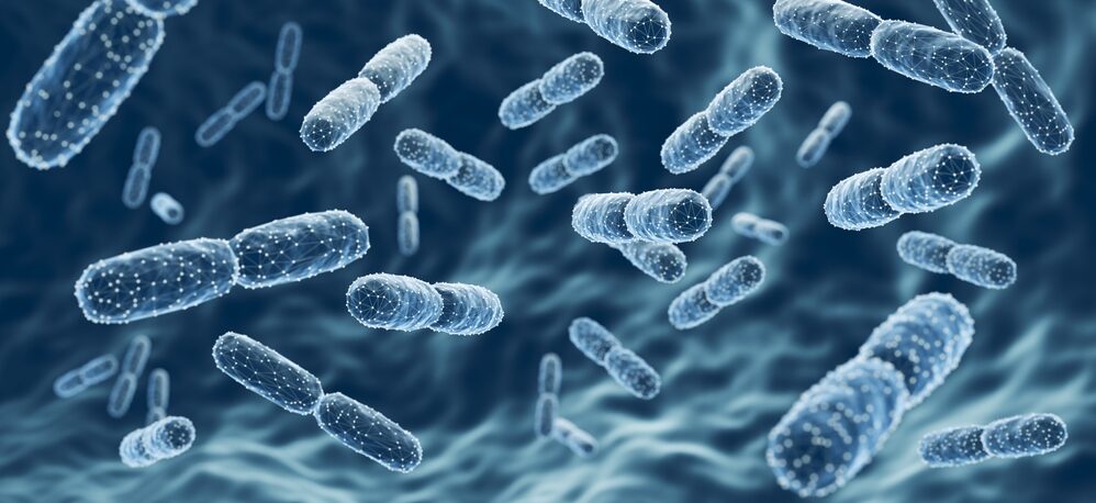 New research shows gut bacteria can generate serotonin - Aesthetic ...